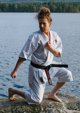 Who put the Bu in Karate-Do? by Ben Eayrs | Iain Abernethy